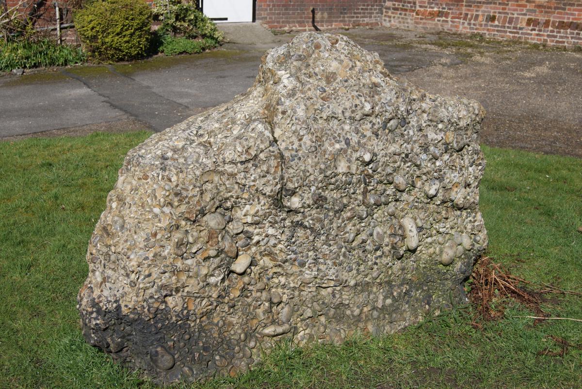 News | HNHS | Living in Hertfordshire – the past 100 million years